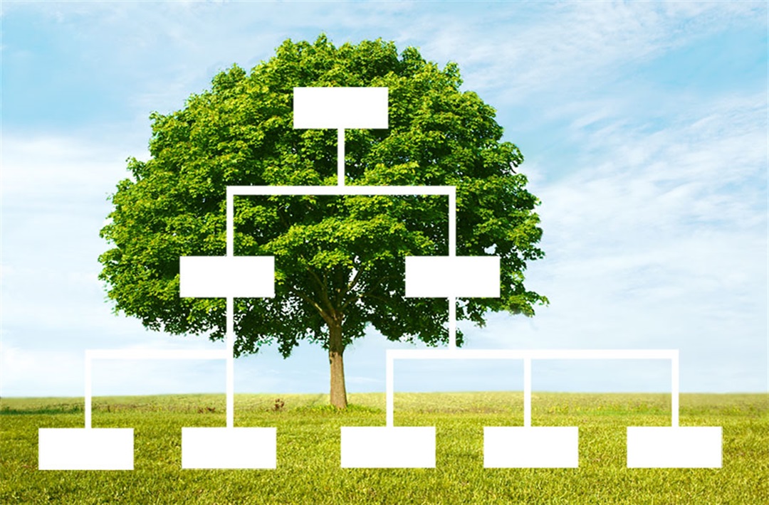 Family history links - Whangarei District Libraries