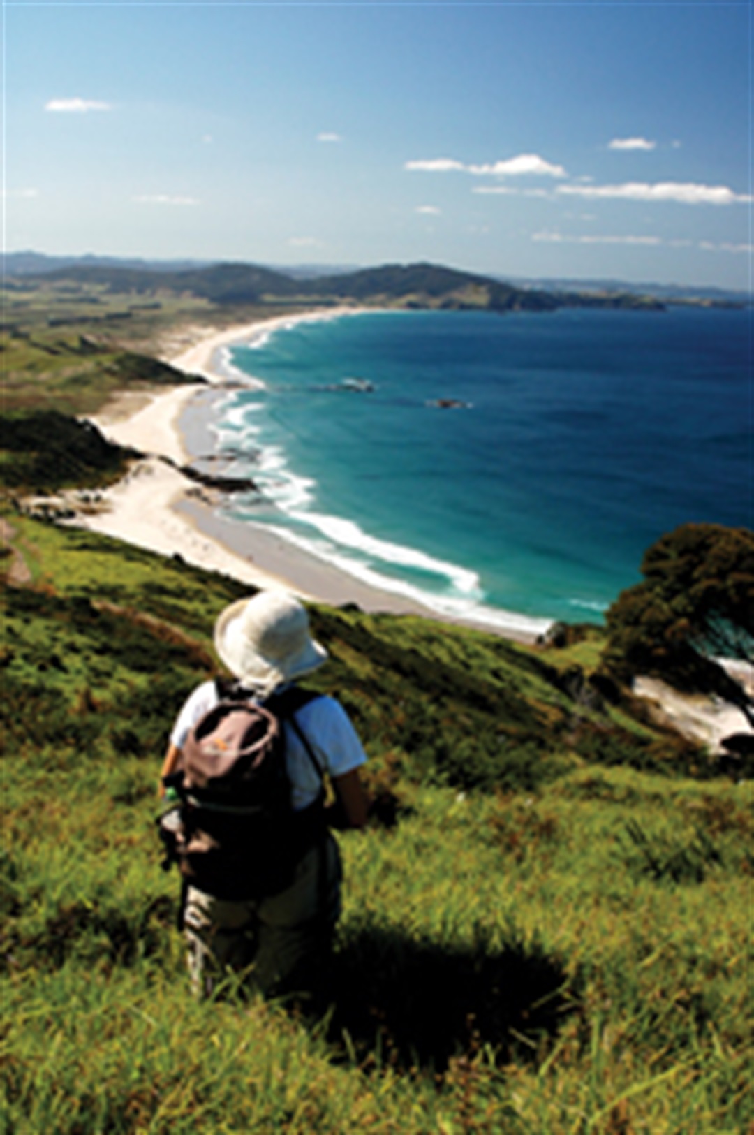 Bream Head Scenic Reserve - Whangarei District Council