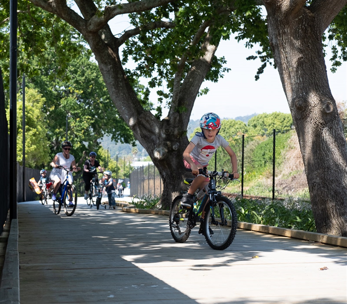 Cycling and shared paths - Whangarei District Council